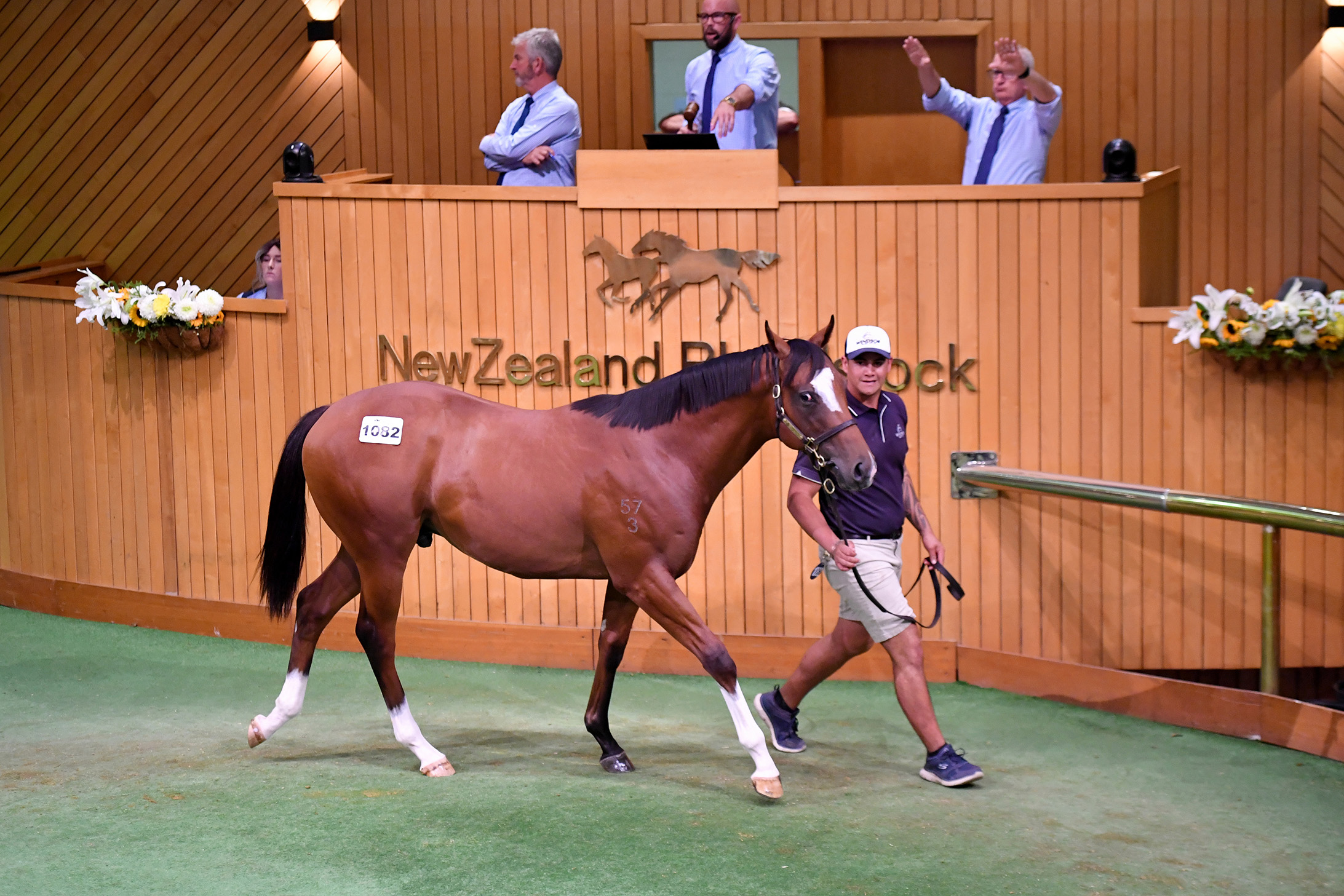 Kneebone builds firepower for training venture